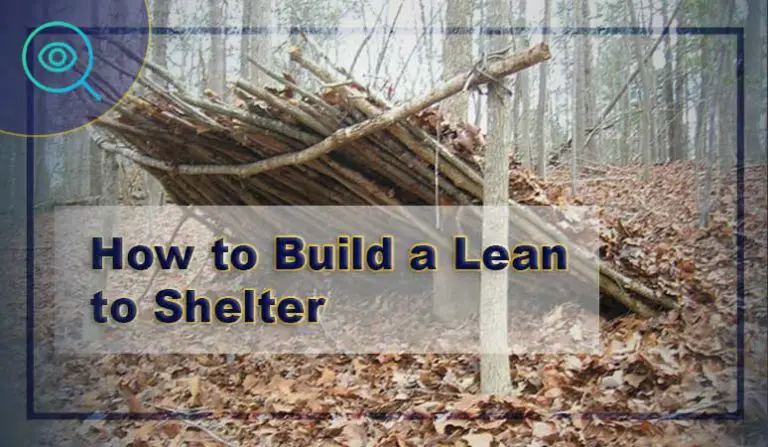 How to Build a Lean to Shelter -Comprehensive Guide in 5 Steps - OutdoorTag