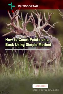 How to Count Points on a Buck Easily - OutdoorTag